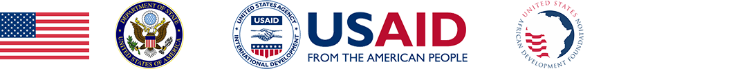 Mandela Washington Fellowship for Young African Leaders | IREX